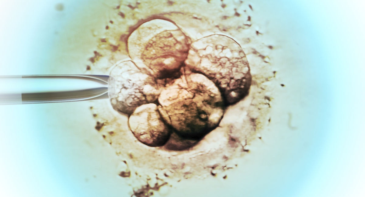 Nevada governor vetoes IVF bill that claimed pre-implantation embryos ...