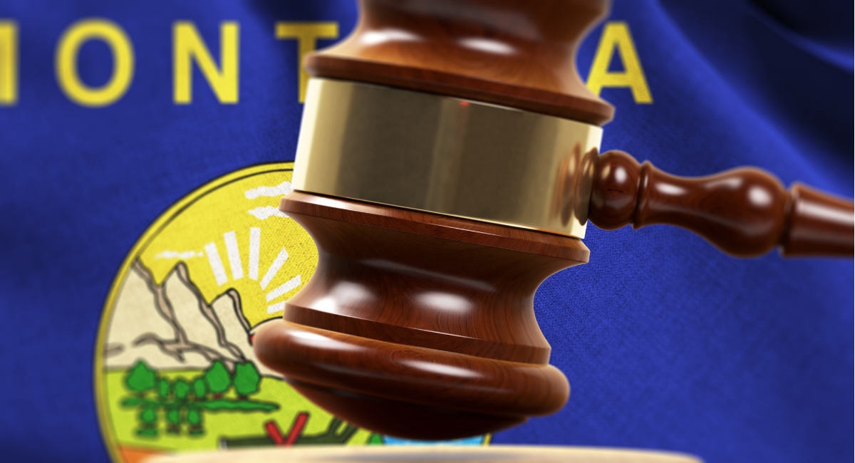Montana judge allows Medicaid to pay for all abortions, and non ...