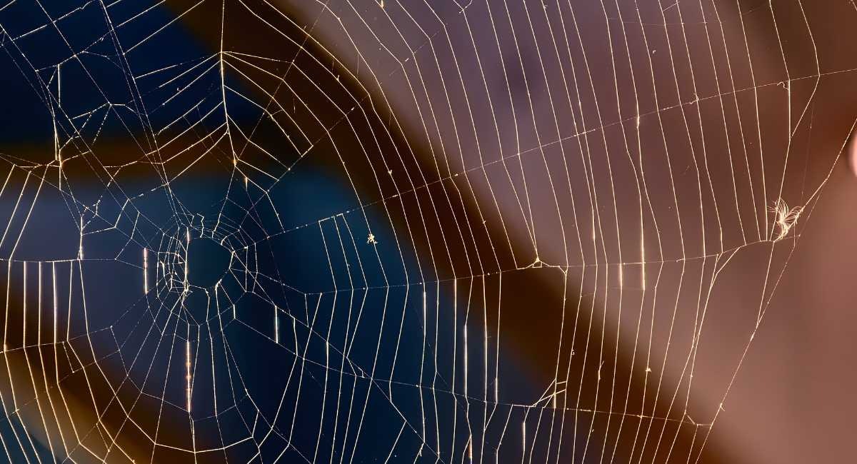 The tangled web of money and deception surrounding the abortion pill ...