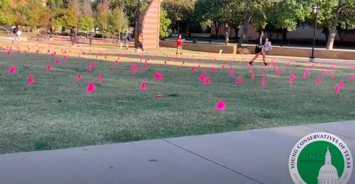 Pro-life memorial vandalized at University of North Texas | Live Action